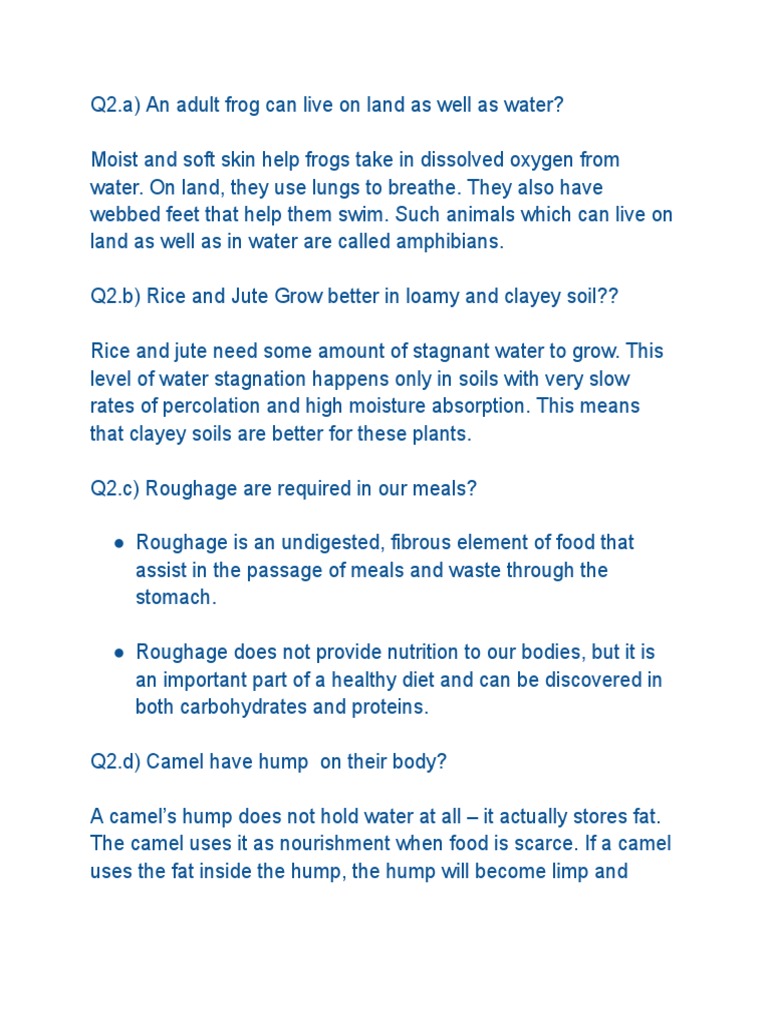 Science Holiday Homework | PDF