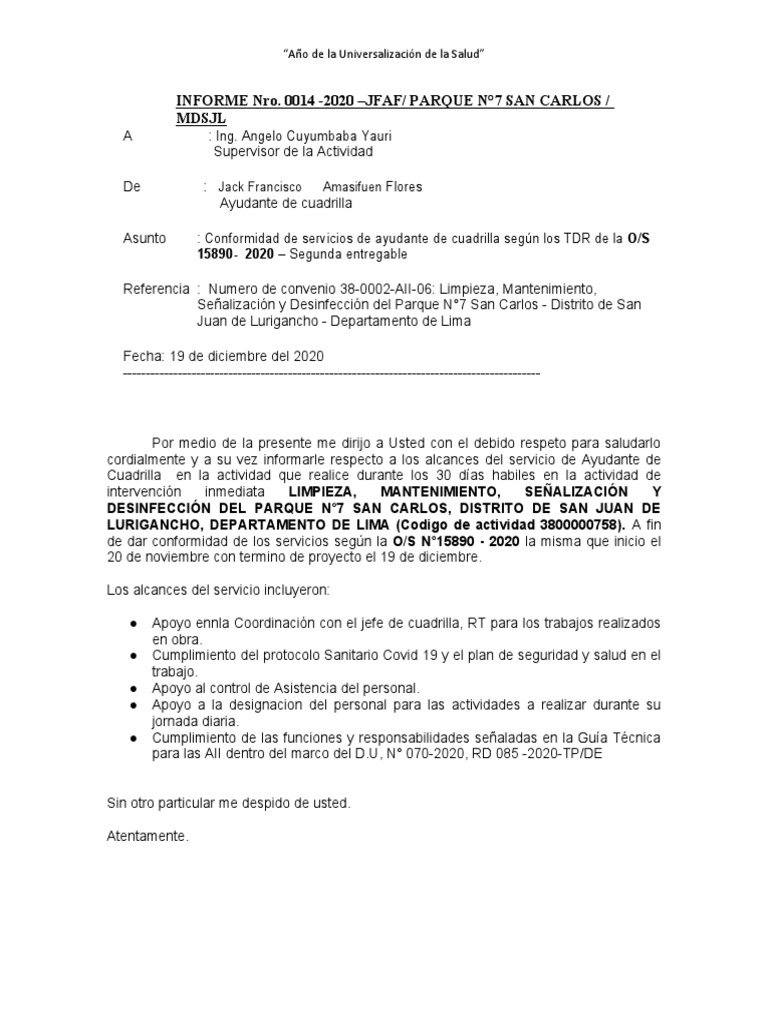 INFORME DEL SERVICIO Primer Entregable | PDF