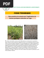 Culture Du Macabo | PDF | Fertilisant | Maïs