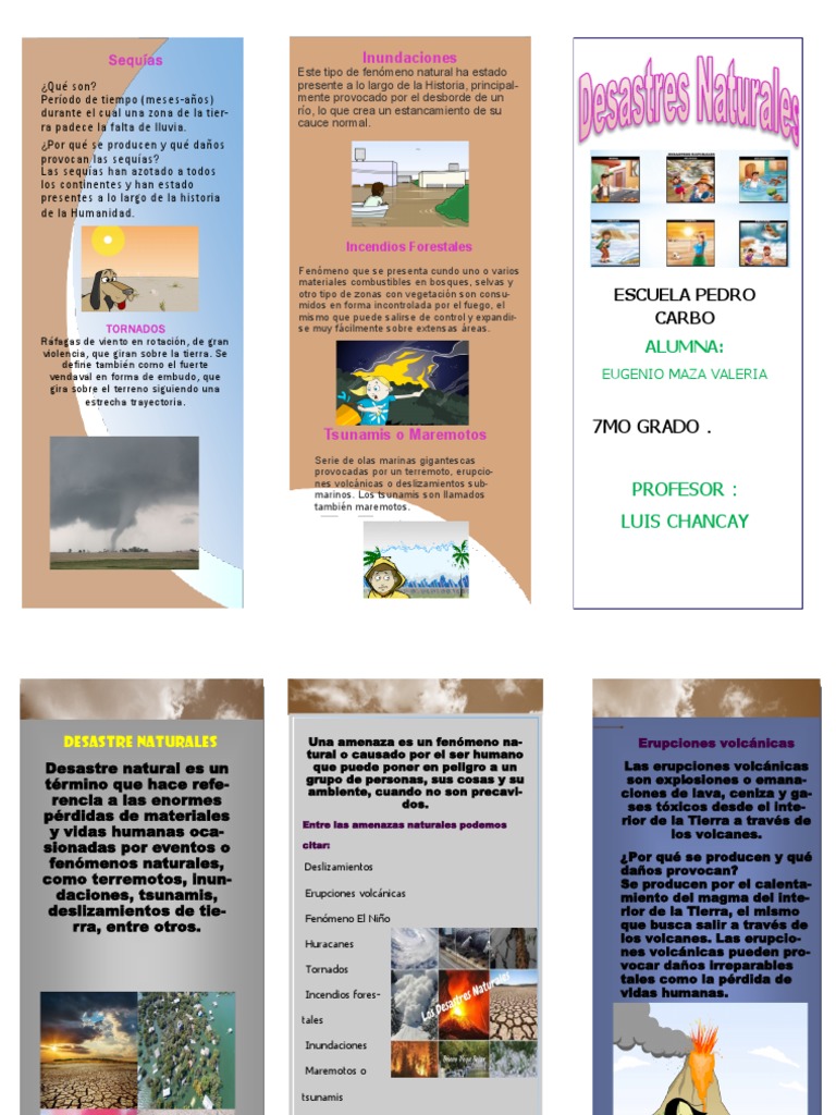 Desastres Naturales y sus Efectos | PDF | Tsunami | Desastres naturales
