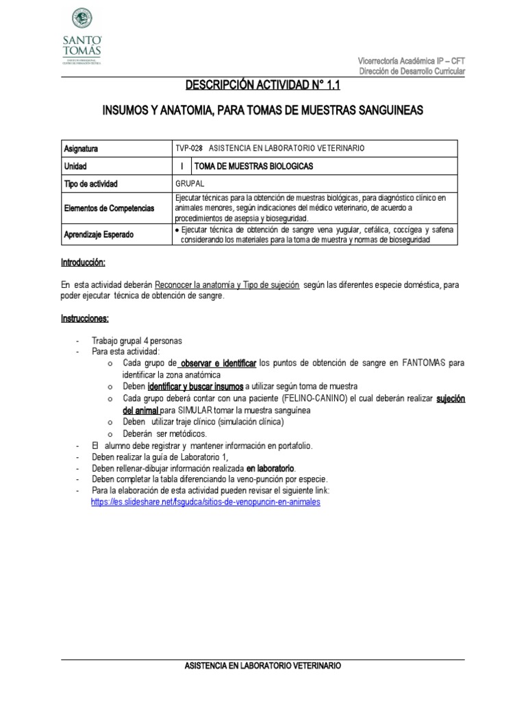 Actividad 1.1 Toma de Muestras Sanguineas | PDF | Laboratorios | Ciencias de la Salud