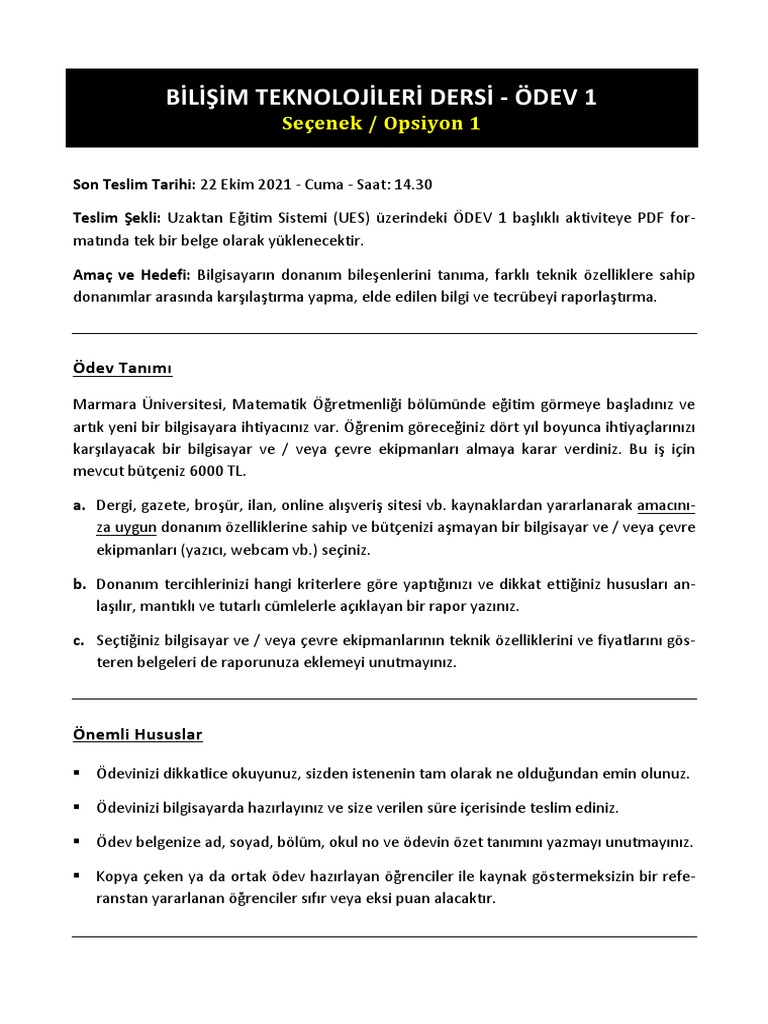 Odev 01 - Opsiyon 1 Ve 2 | PDF