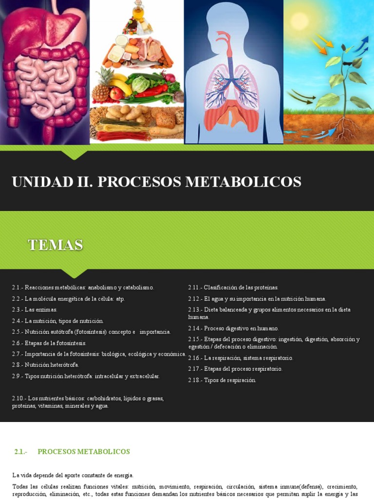 UNIDAD 2 - Procesos Metabolicos | PDF | Metabolismo | Enzima