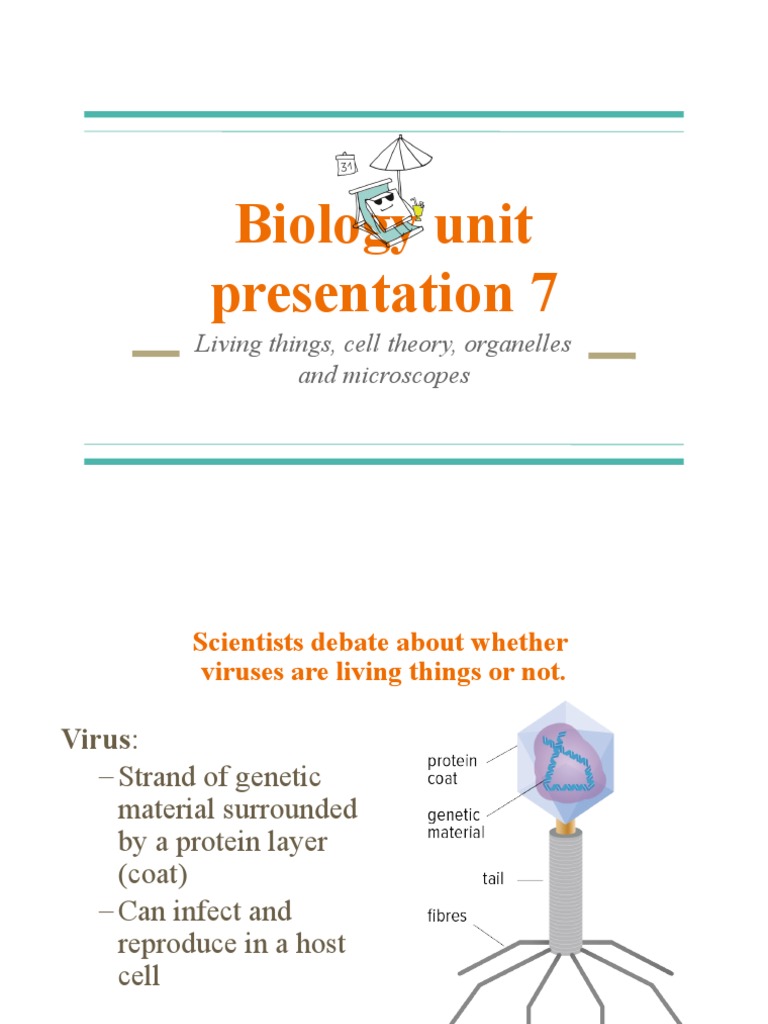 Unit 4 - Class 7 - Viruses - Slides | PDF | Self-Improvement | Wellness