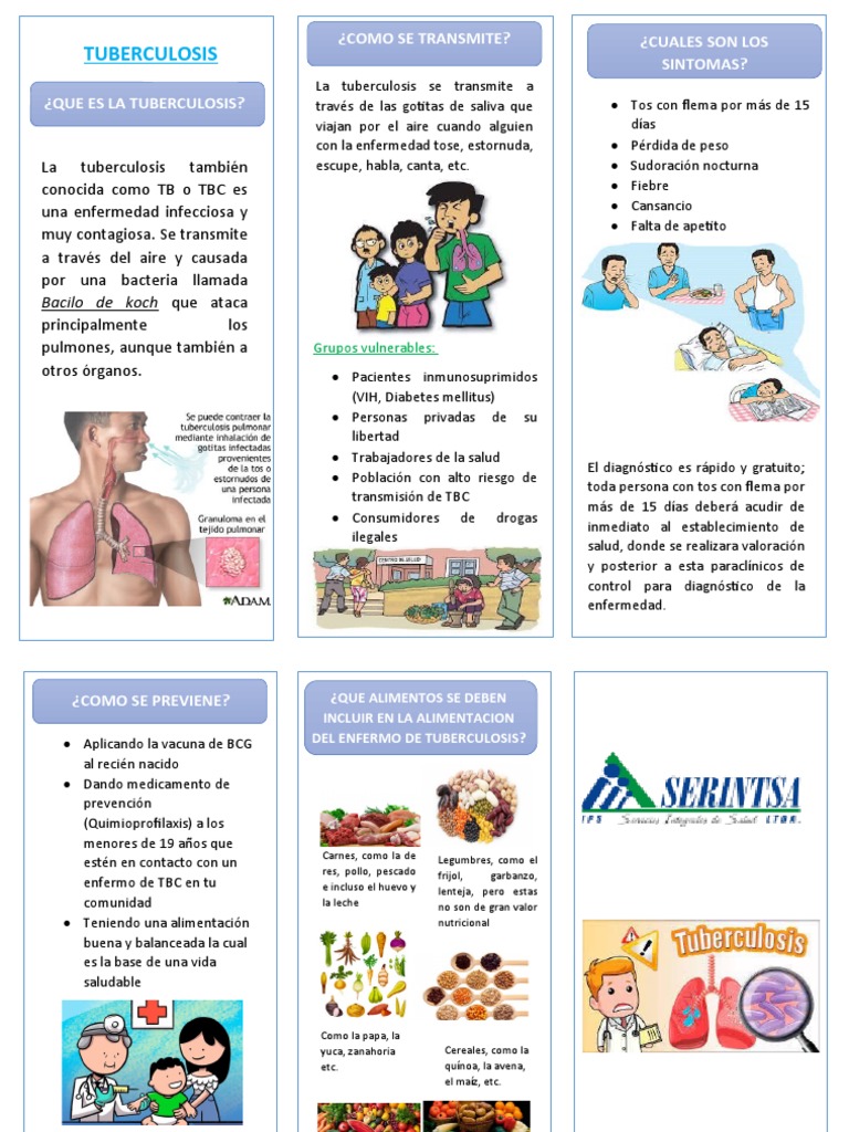 Folleto de TBC | PDF | Tuberculosis | Medicina CLINICA