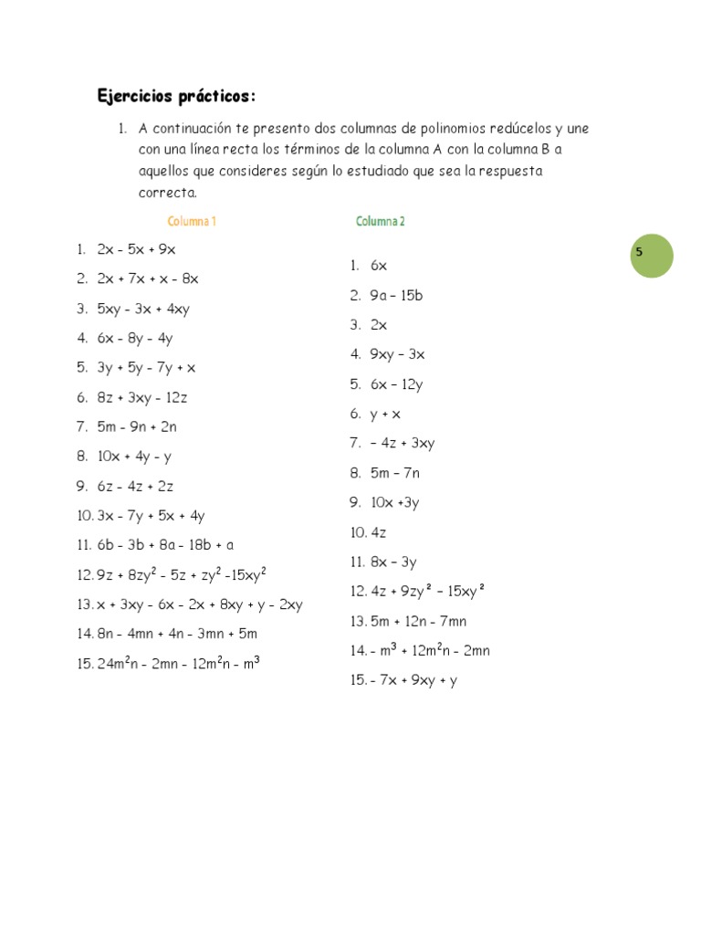 Ejercicios Terminos Semejantes | PDF