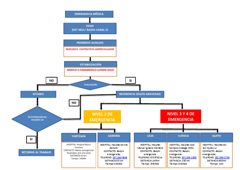 MODELO FLUJOGRAMA MEDEVAC CONTRATISTA AMPER | PDF