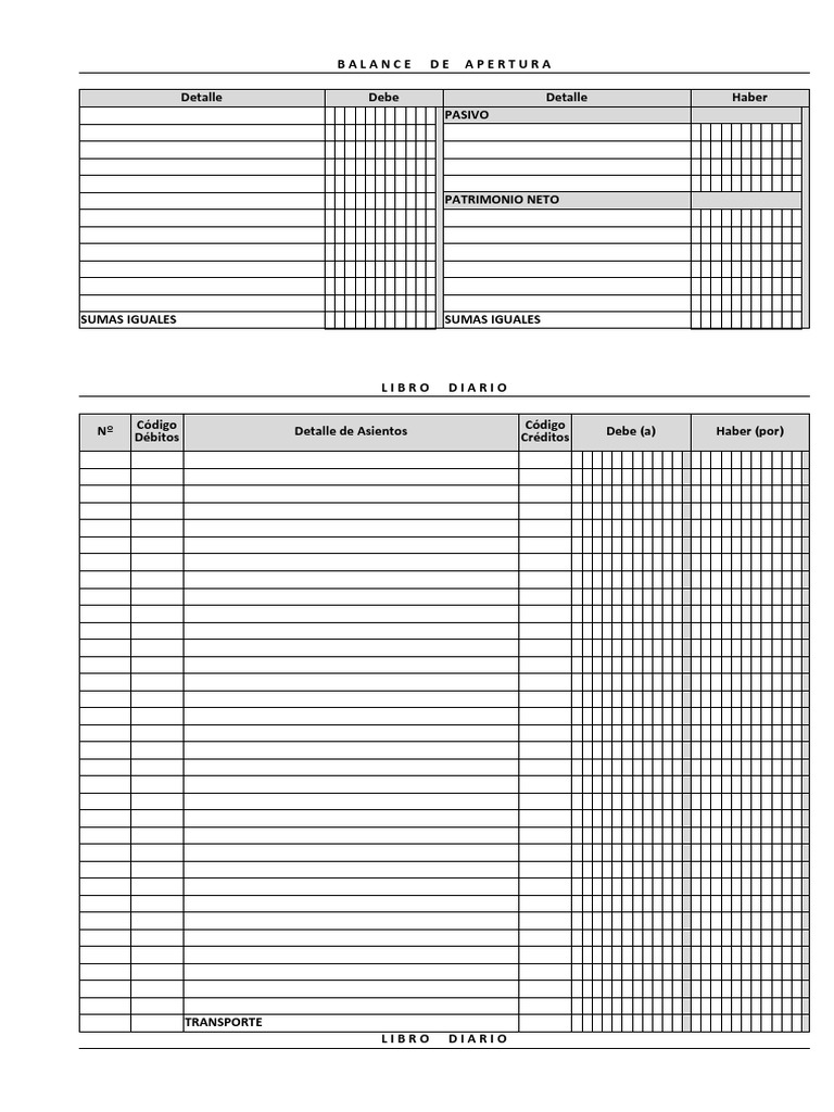 Formato de Libros Contables | PDF | Estado de resultados | Contabilidad