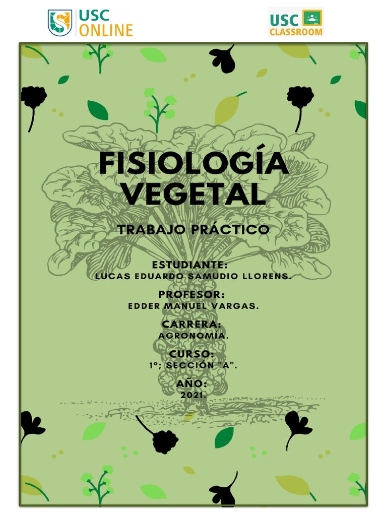 Fisiologia Vegetal | PDF | Hormona Vegetal | Auxina