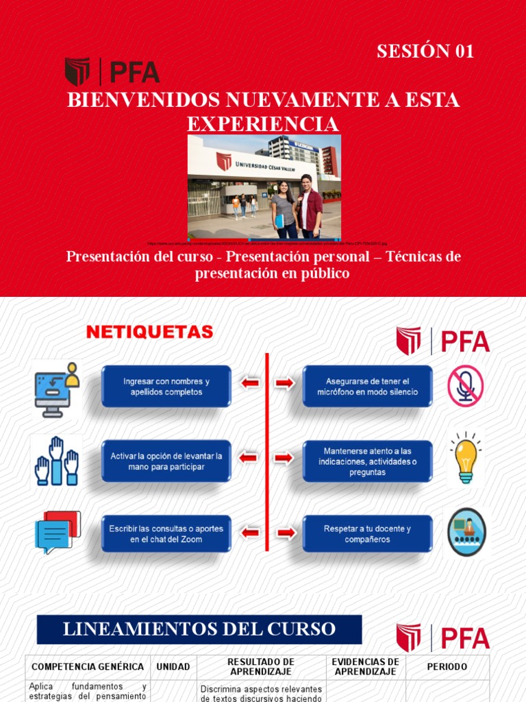 Sesión 01 Pfa | PDF