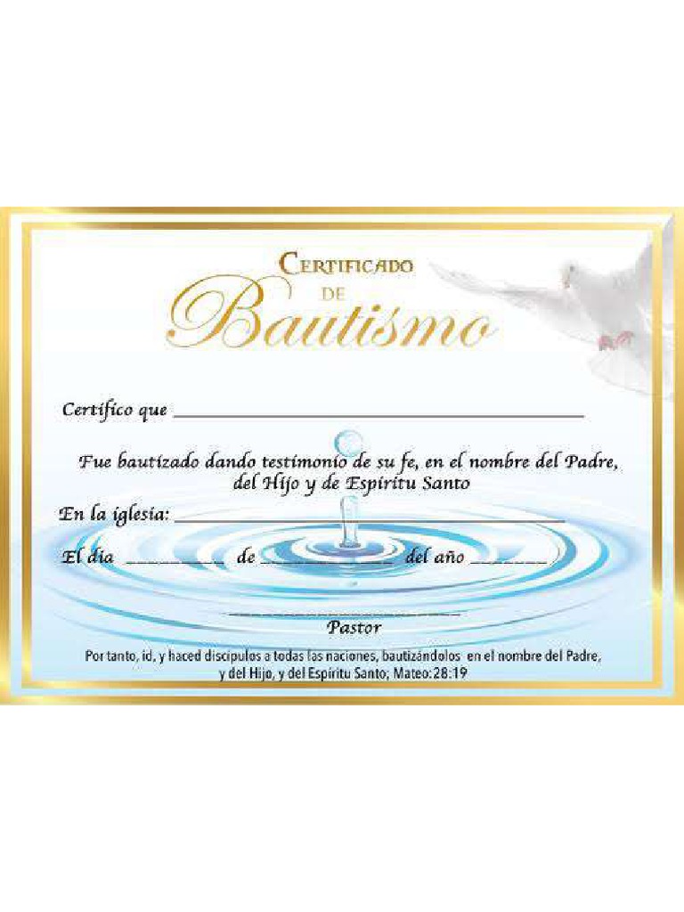 Fe De Bautismo 2 Pdf