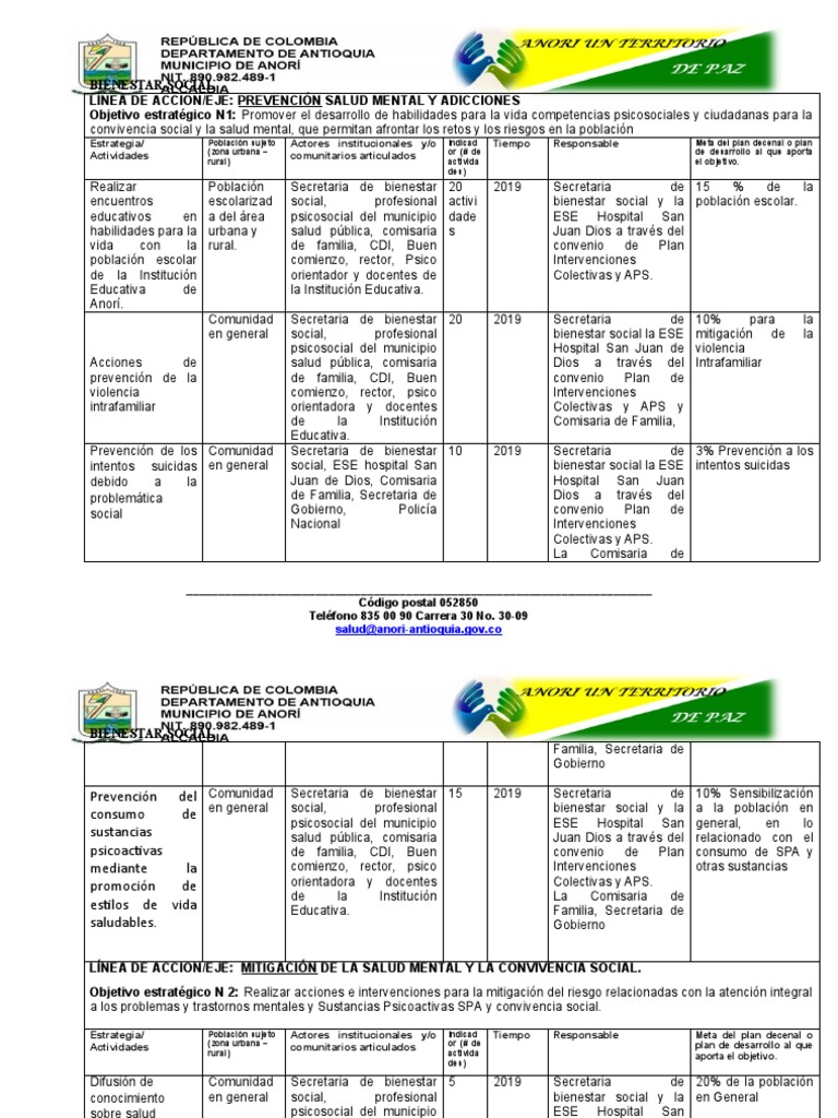 Plan de Acción Salud Mental Anori | PDF | Salud mental | Hospital