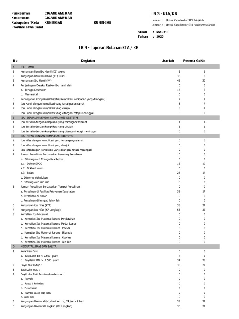 Laporan Bulanan KIA/KB Maret 2023 | PDF