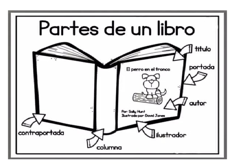 Partes Del Libro | PDF