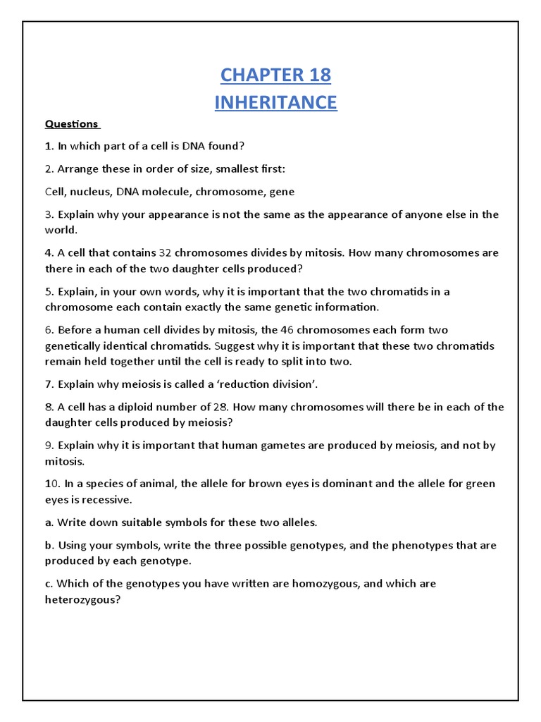 CHAPTER 16 Chromosomes, Genes, and Proteins | PDF