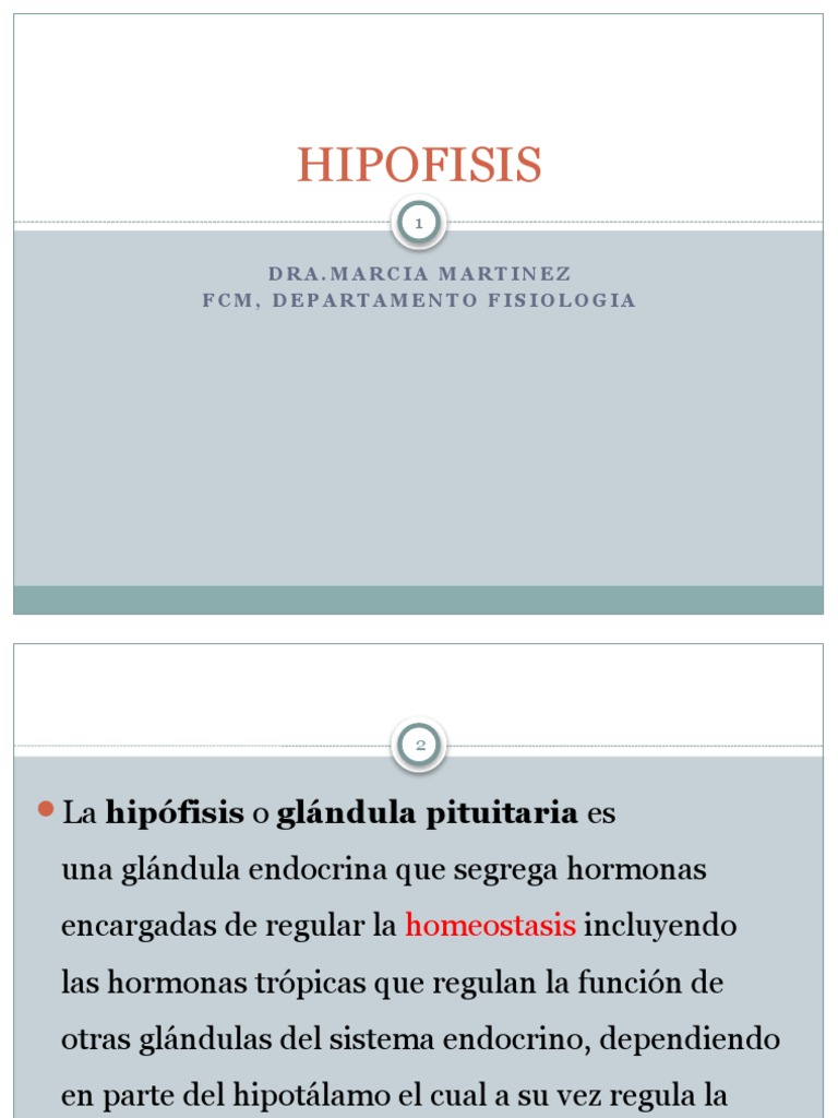 HIPOFISIS | PDF | Glándula pituitaria | Hormona luteinizante
