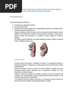 Parto Podálico: Mecanismos y Maniobras | PDF | Parto | Feto