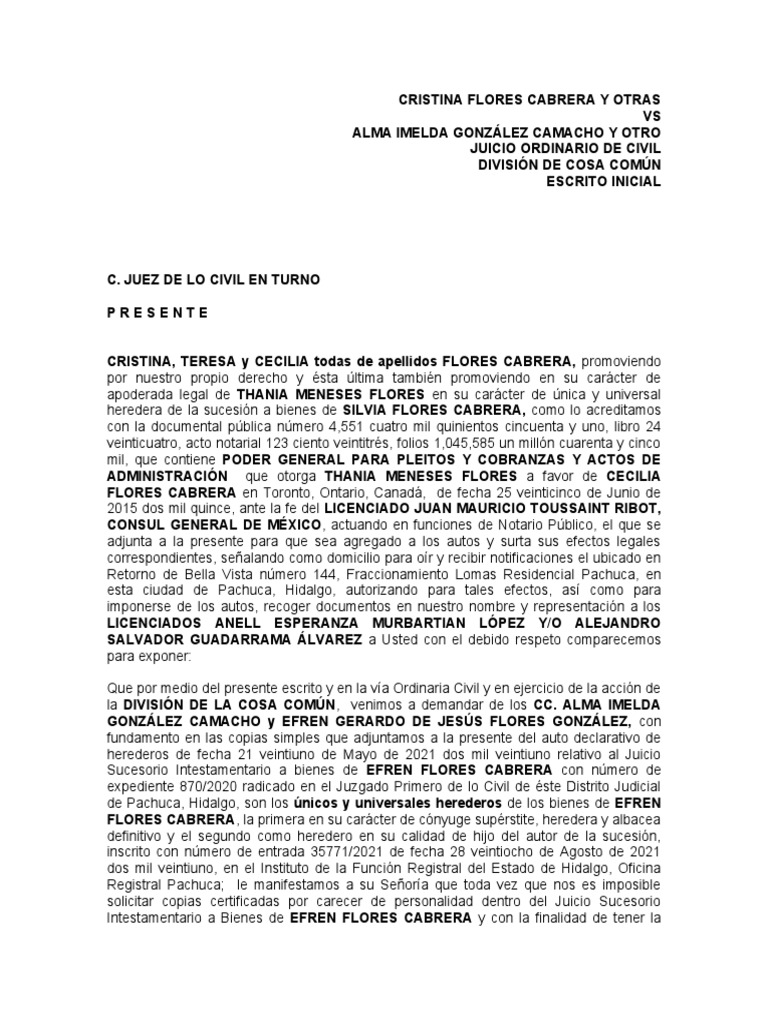 Juicio Ordinario Civil (Division de Cosa Común) | PDF | Demanda ...