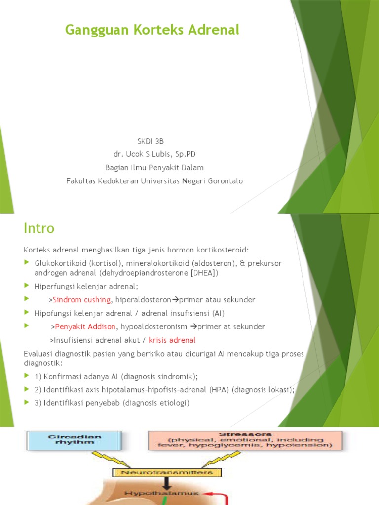 Insufisiensi Adrenal-UL | PDF