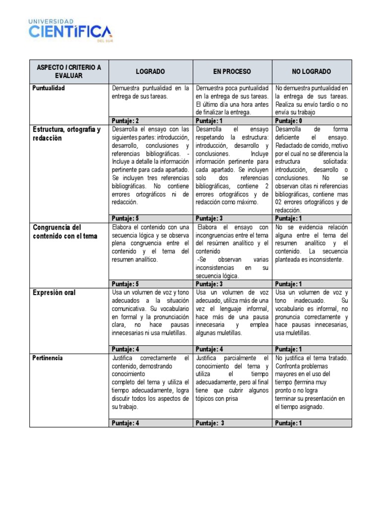 Rúbrica para Ensayo Argumentativo | PDF | Ensayos | Ciencia cognitiva