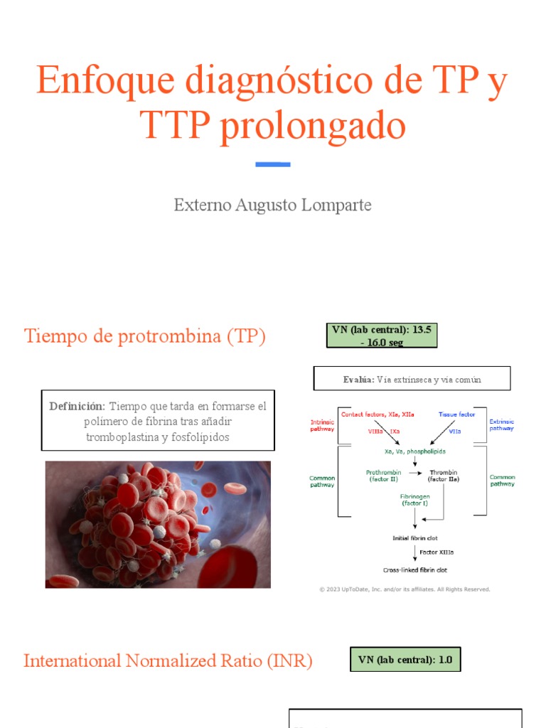 Enfoque Diagnóstico de TP y TTP Prolongado | PDF | Coagulación | Proteínas de la sangre