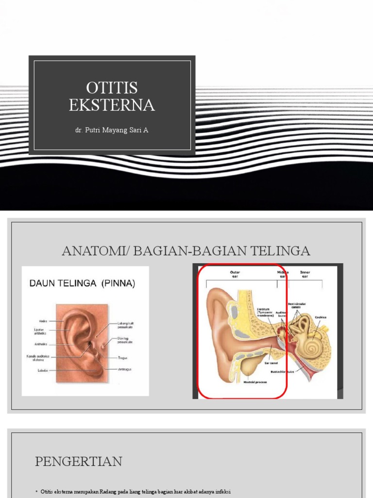 Otitis Eksterna Fixx | PDF
