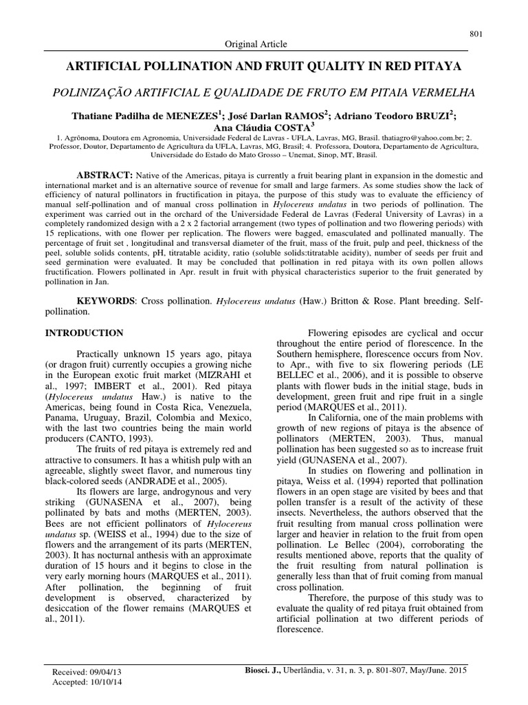Red Pitaya: Impact of Artificial Pollination | PDF | Pollination | Flowers