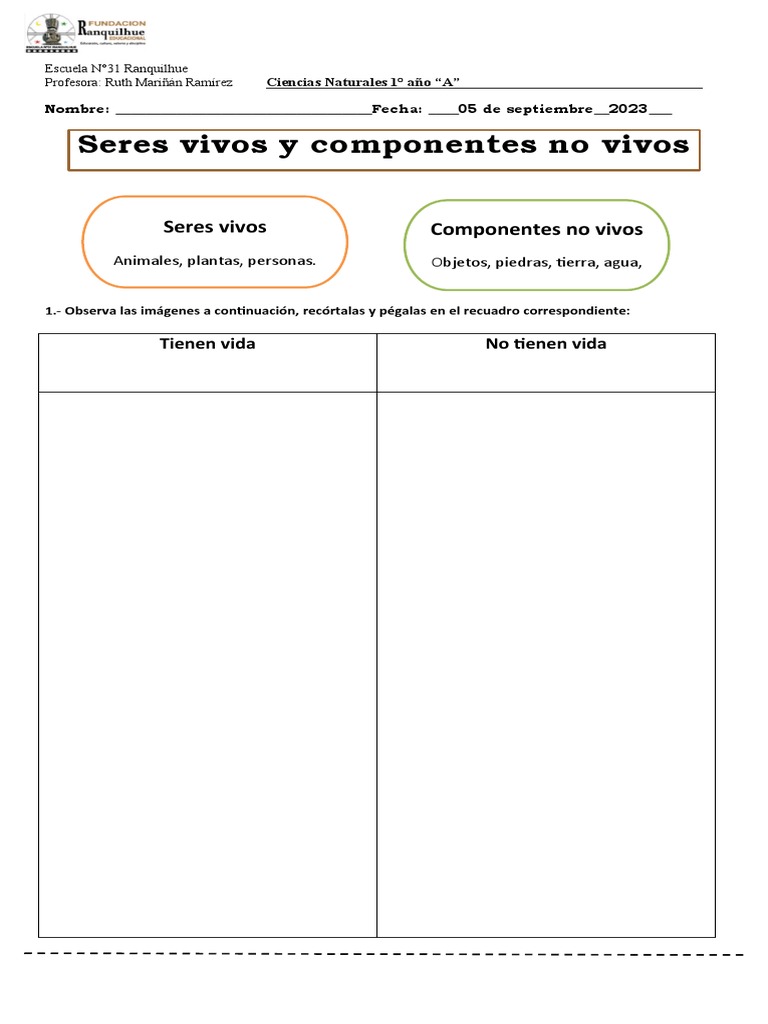 Guía Seres Vivos y Sin Vida 1° Basico 12 de Agosto21 | PDF