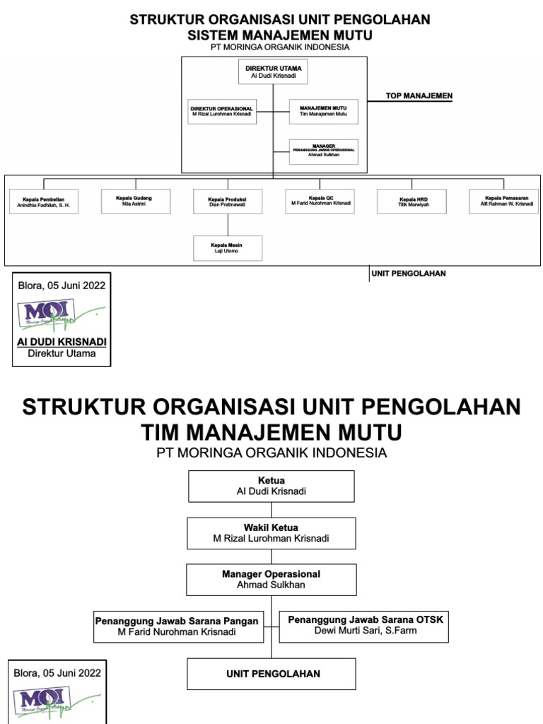 (CONTOH) Struktur Organisasi | PDF