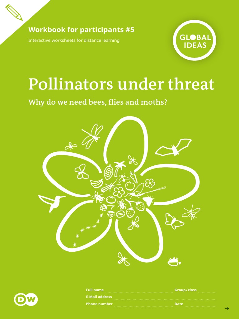 Pollinator Workbook for Students | PDF | Pollination | Pollinators