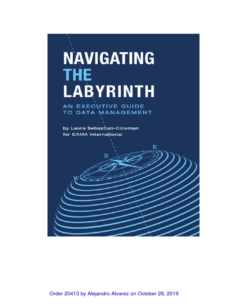 DAMA - Navigating-The-Labyrinth 5db75d9f03100 e | PDF | Data | Metadata