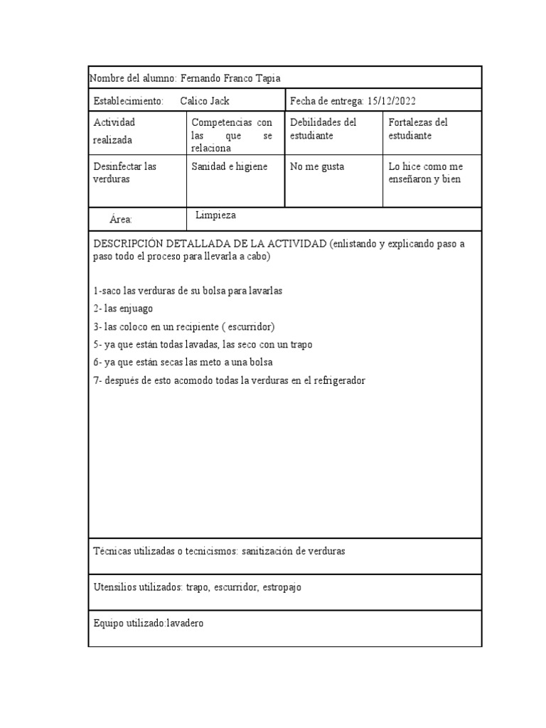 Bitácora Servicio Social Prácticas | PDF