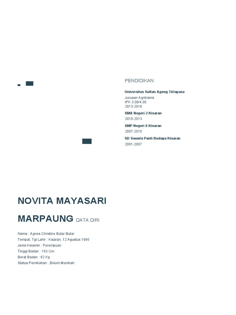 CV Agnes Christine BB | PDF