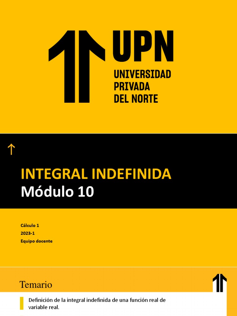 Modulo 10 | PDF | Integral | Función (Matemáticas)