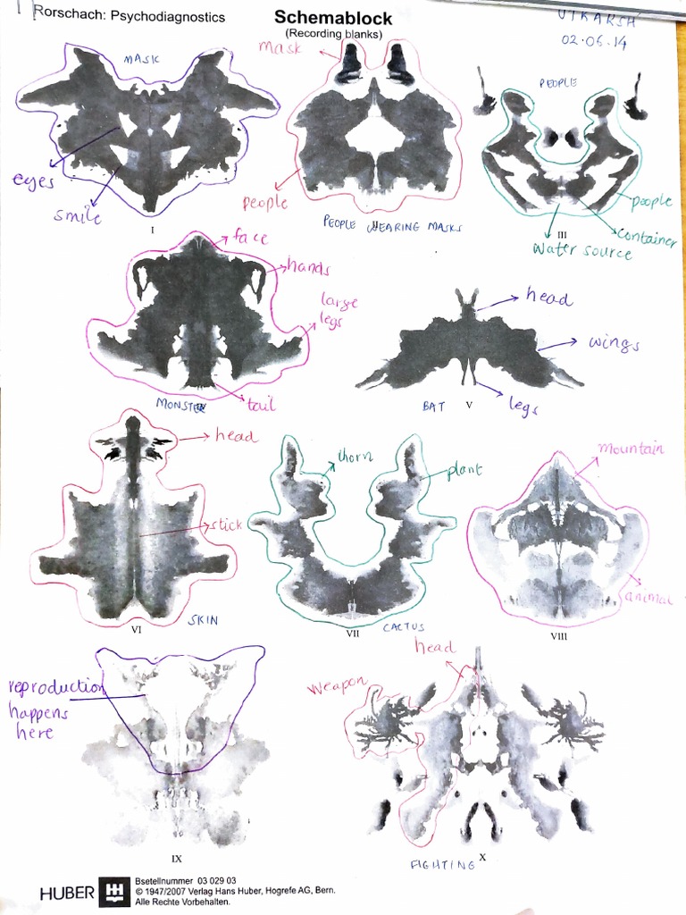 Rorschach Utkarsh (2) Internship Report | PDF