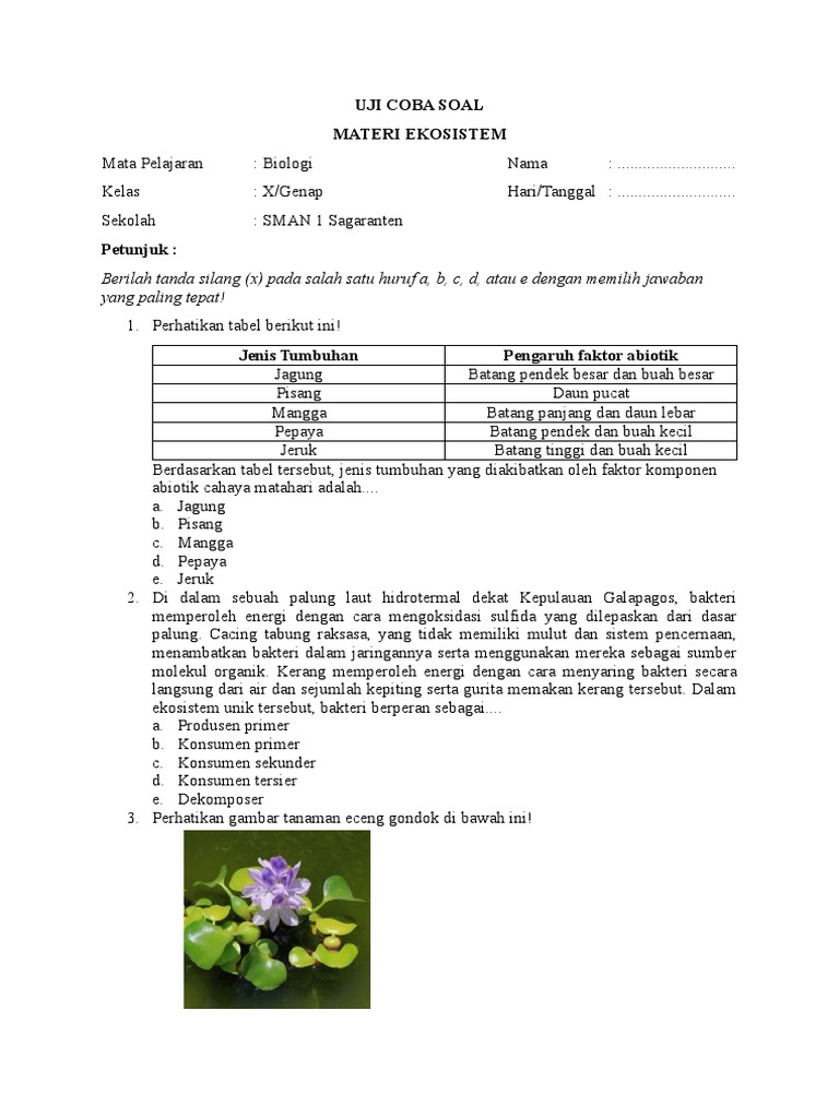 Uji Coba Soal Ekosistem Kelas X SMA | PDF