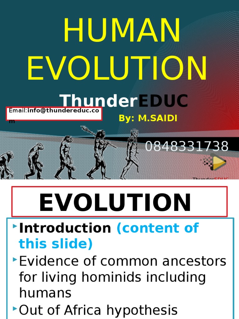 11.evolution by Human Final | PDF | Homo | Bipedalism