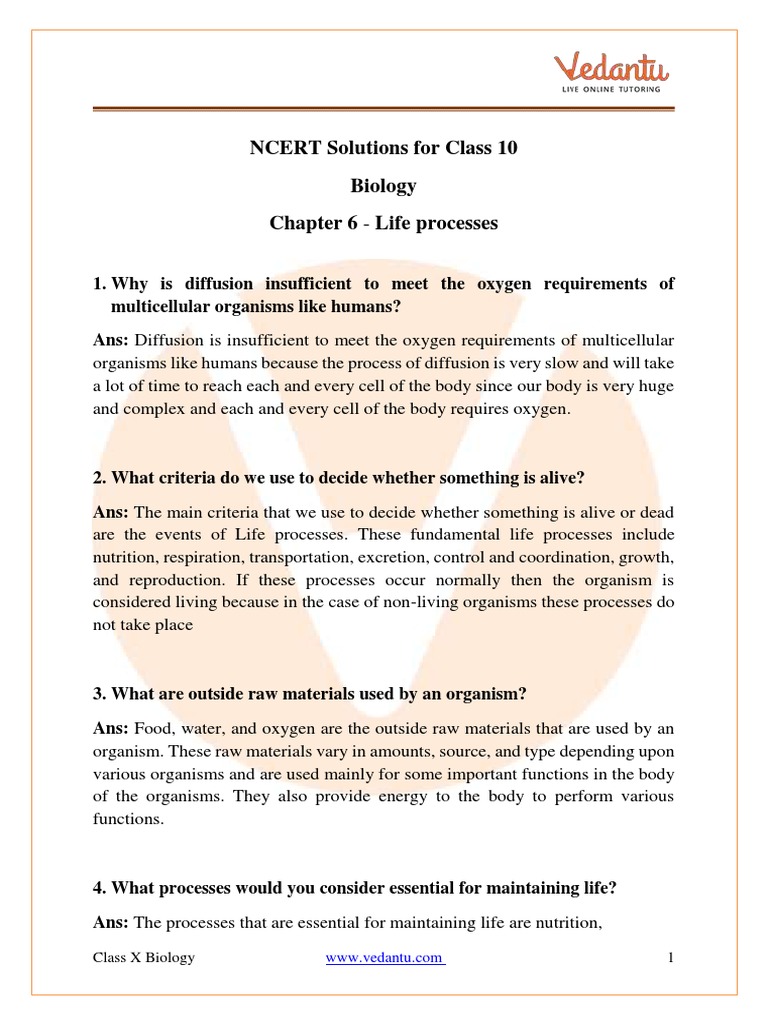 Class 10 - Science - Life Processes | PDF | Respiratory System | Blood