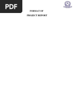 College Project Report Template | PDF