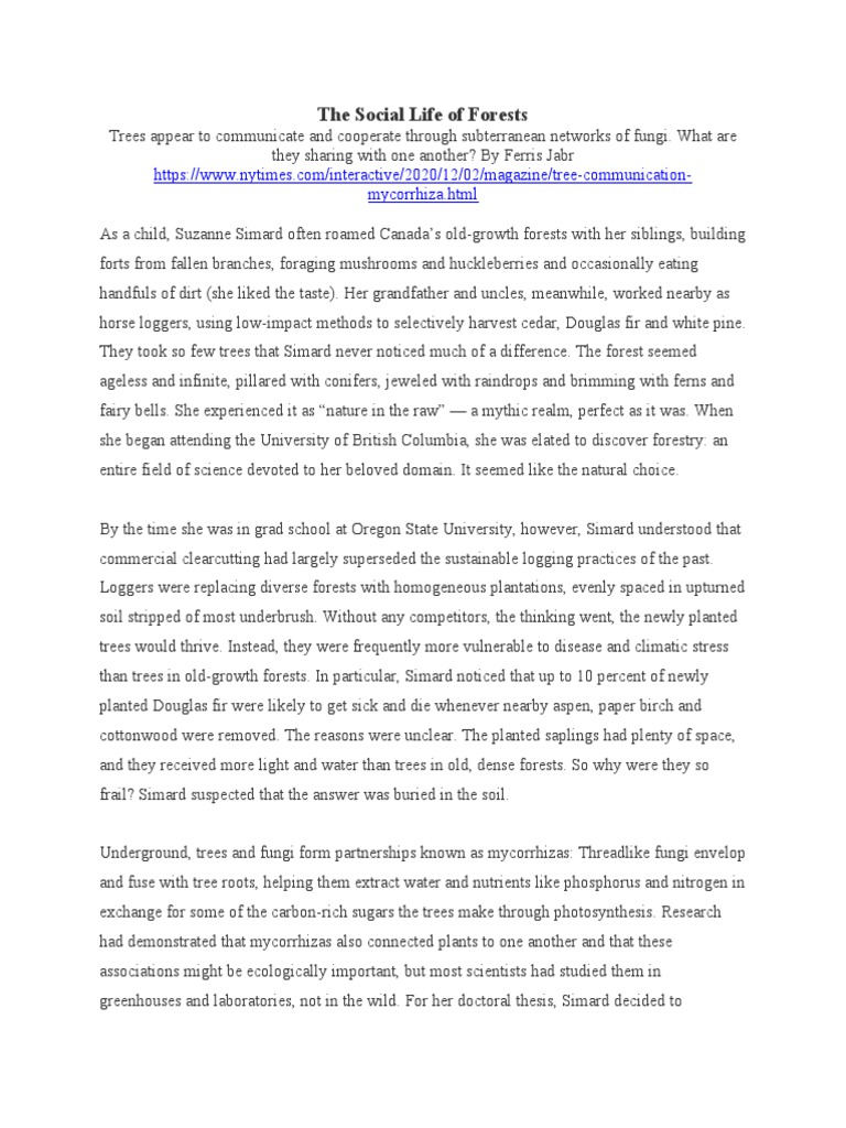 Jabr - The Social Life of Forests | PDF | Trees | Natural Selection