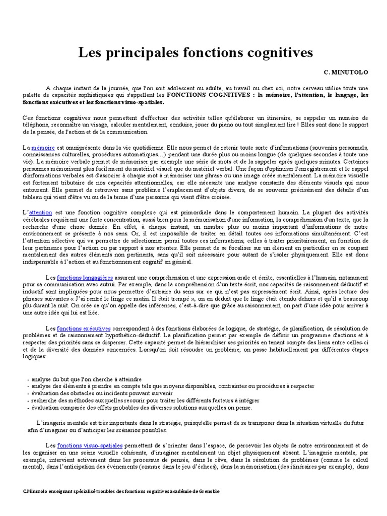 Les Principales Fonctions Cognitives | PDF