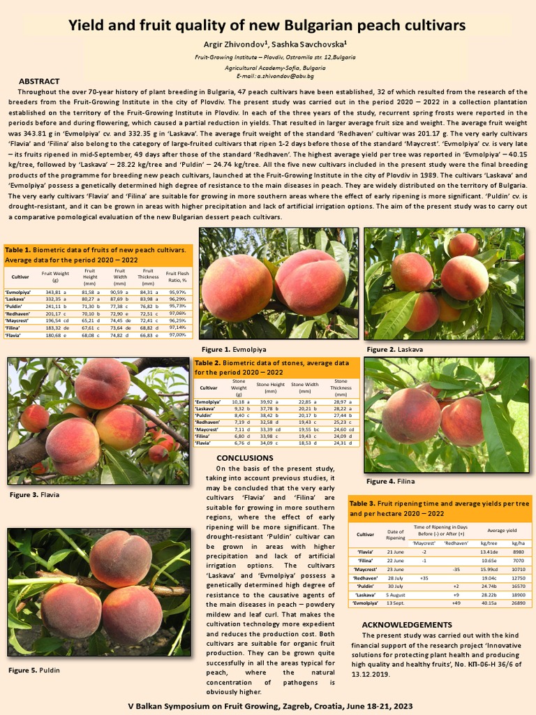 Yield and Fruit Quality of New Bulgarian Peach Cultivars: Argir ...