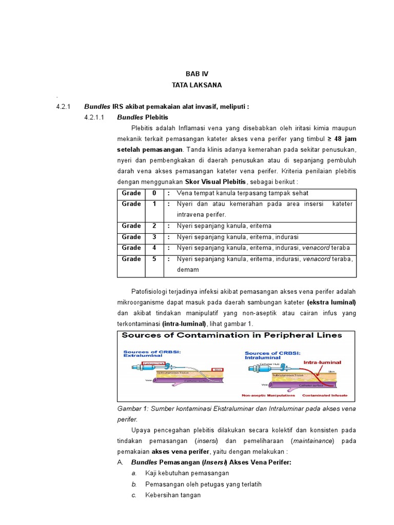 Panduan Bundles IRS | PDF