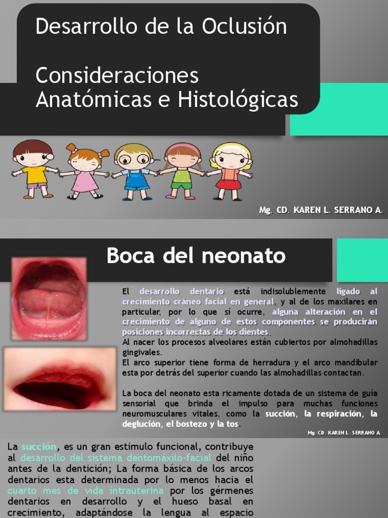 Desarrollo de la Oclusión | PDF | Anatomia dental | Boca