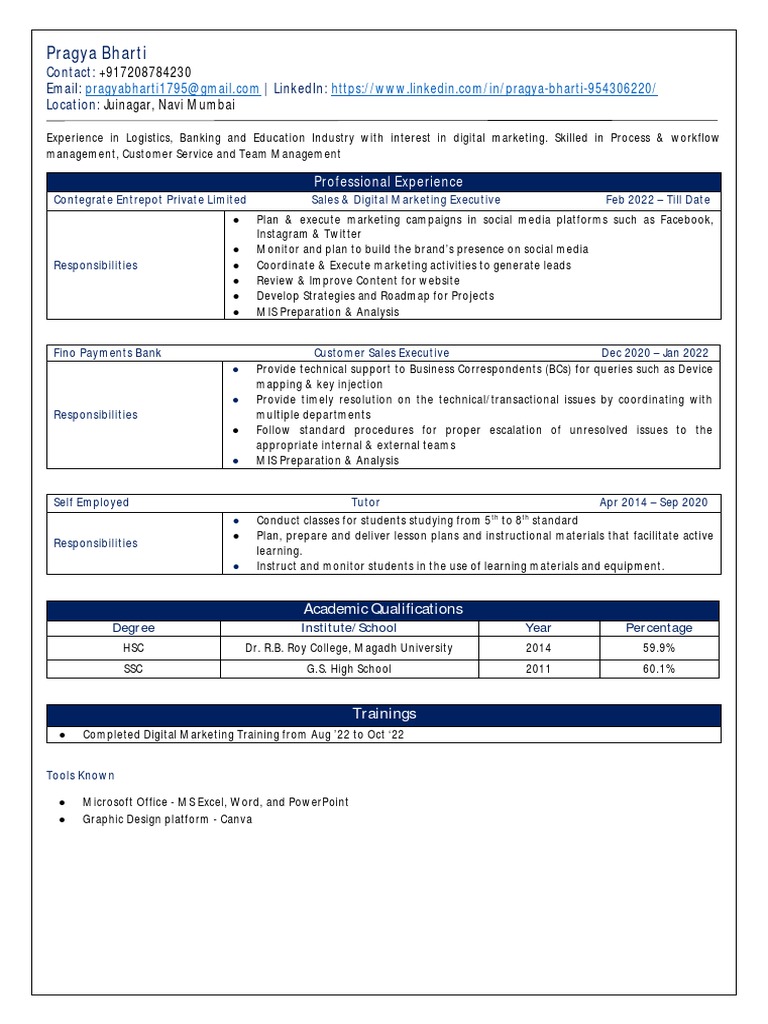 Pragya Bharti Final Pdf Digital Marketing Social Media