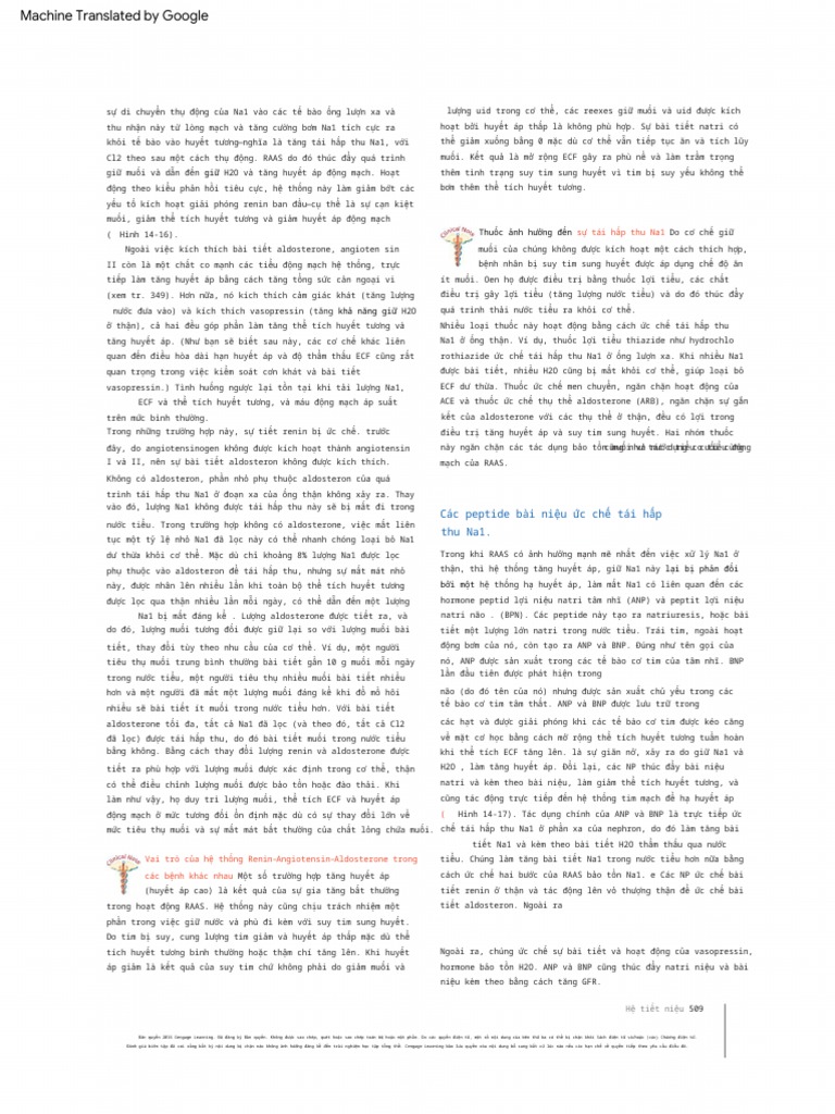 Human Physiology From Cells To Systems, 9th Edition | PDF