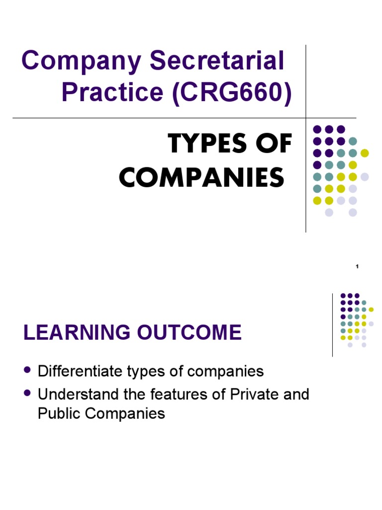 Chap 3 - Types of Companies | PDF | Companies | Balance Sheet