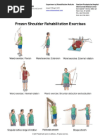 ANA 12 Plus Profile Overview | PDF | Causes Of Death | Epidemiology