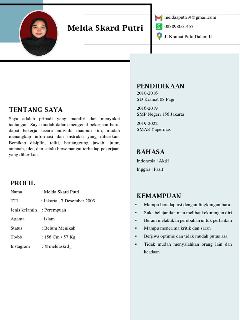 Contoh CV Online! | PDF