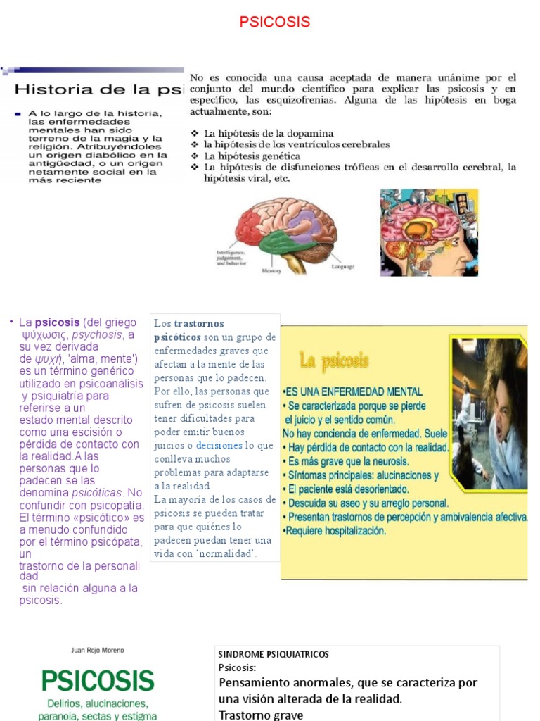 Tipos y causas de la psicosis | PDF | Psicosis | Esquizofrenia